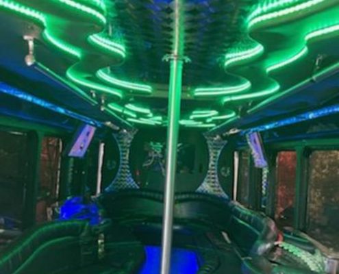 Experience the excitement with Mini Party Buses in McKinney, Texas!