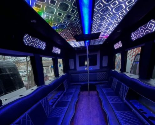 Experience the excitement with Mini Party Buses in McKinney, Texas!